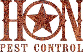 Pest Control in Glendale, AZ | H and N Pest Control
